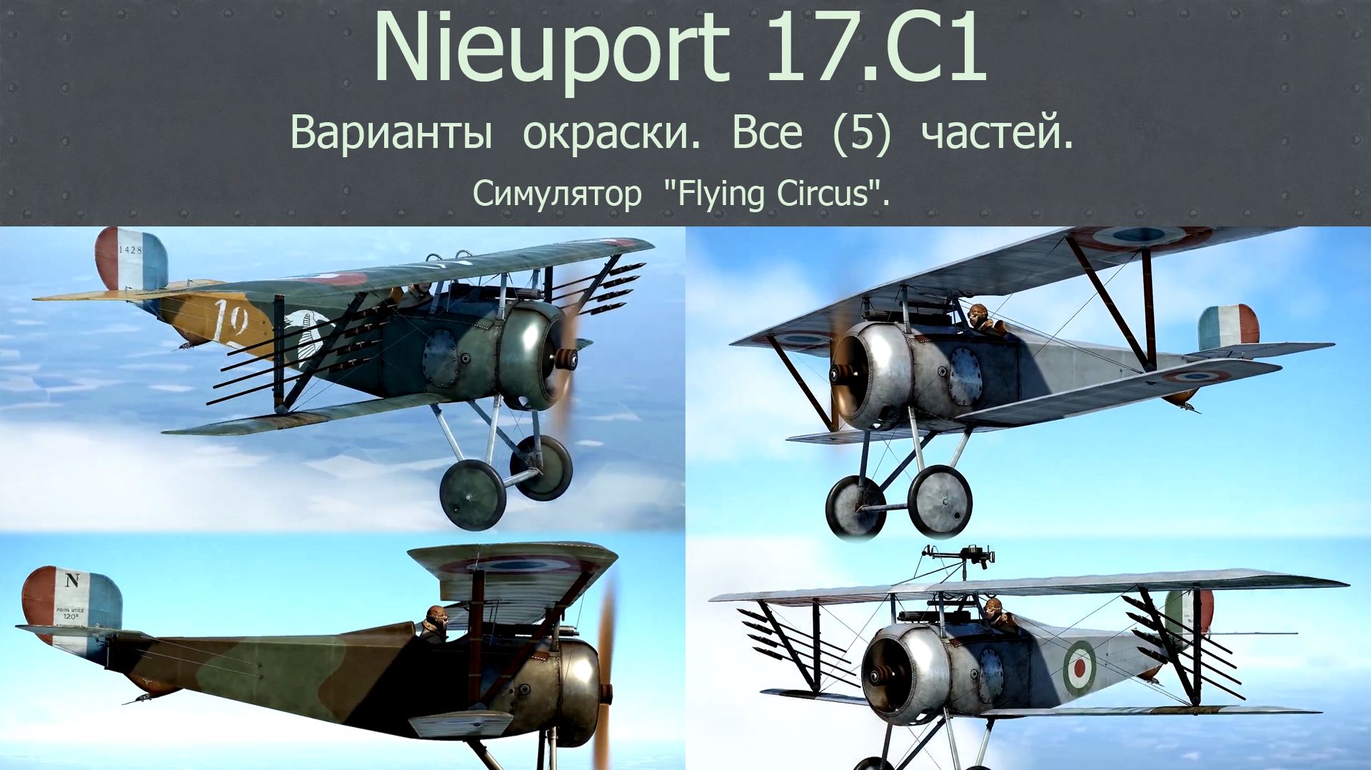 Nieuport 17.C1 истребитель ( Франция). Варианты окраски. Все части (5). Симулятор "Flying Circus".