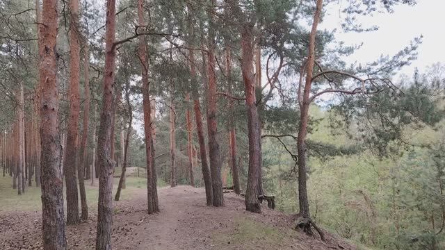 Замечательная новость! Начинаем жить прямо сейчас!