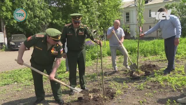 Аллею памяти высадили во дворе дома 8 на улице Коммунистическая