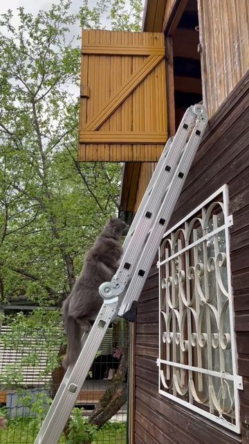 Неистребимое любопытство
