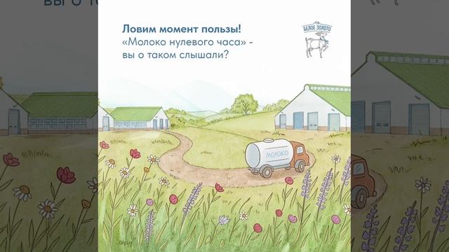 Молоко «нулевого часа»