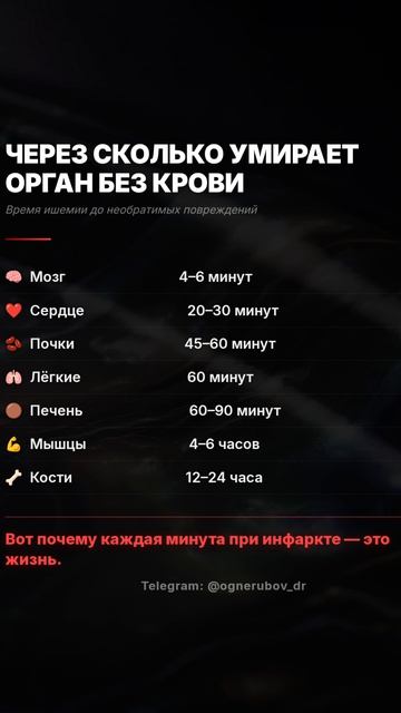 Не оставляй эти органы без крови⚡