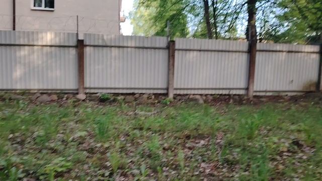 Сейчас вылетит птичка ©20260521