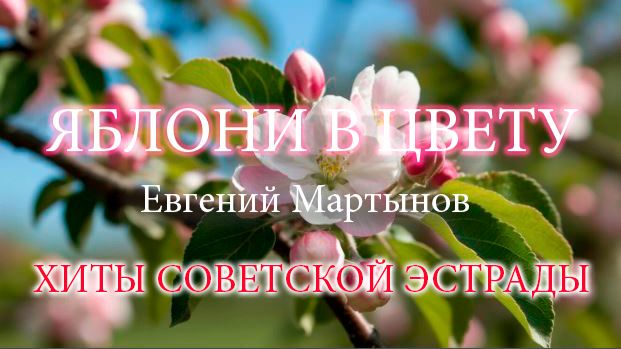 Яблони в цвету. Евгений Мартынов. ХИТЫ СОВЕТСКОЙ ЭСТРАДЫ