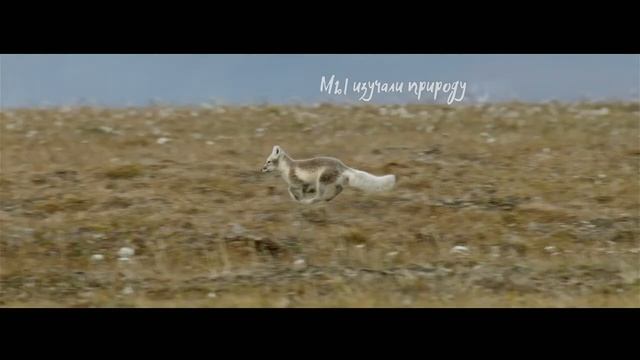 Заповедная Россия - Мы всегда рядом - ваш Permsputnik