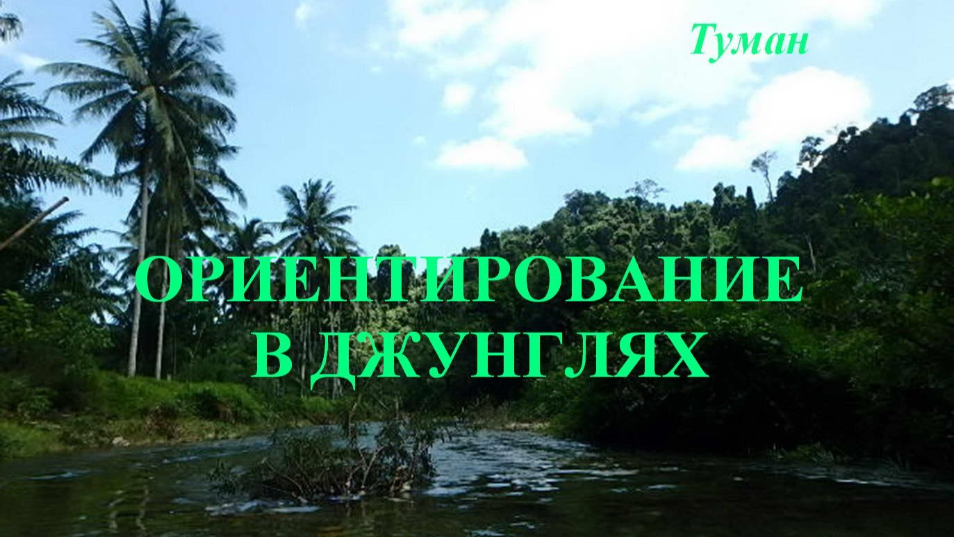 Ориентирование в джунглях
