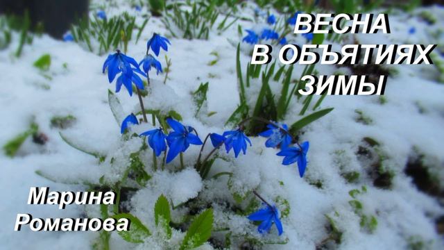 © Марина Романова "ВЕСНА В ОБЪЯТИЯХ ЗИМЫ"