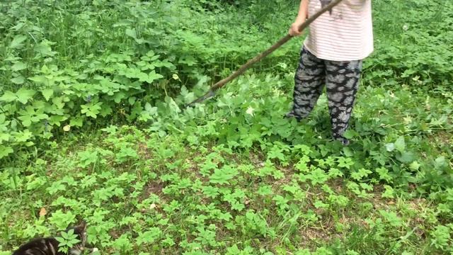 А сегодня просто косим! Почти забытое искусство