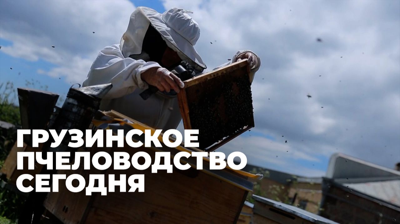 Как развивается и чем известно пчеловодство Грузии