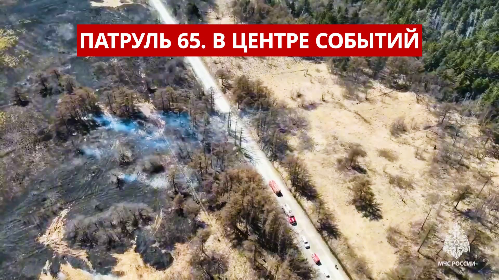 ПАТРУЛЬ 65. Дебош наркомана во дворе, браконьерский улов и лесные пожары. Сахалин 21.05.26