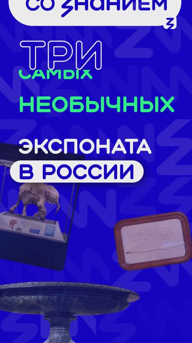 3 самых необычных музейных экспоната в России