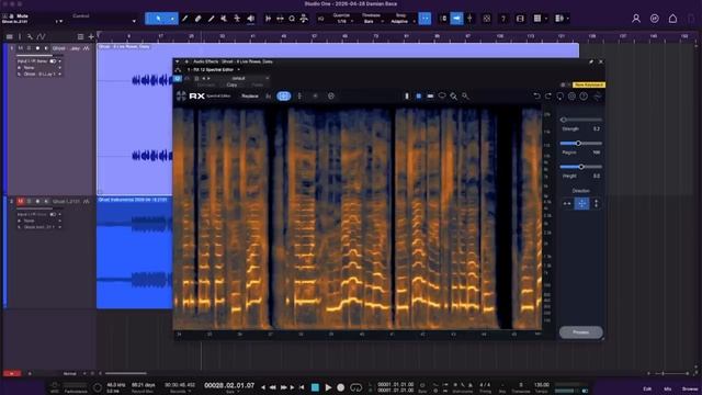 How to Use iZotope RX12 (Musicians Guide) [RU]