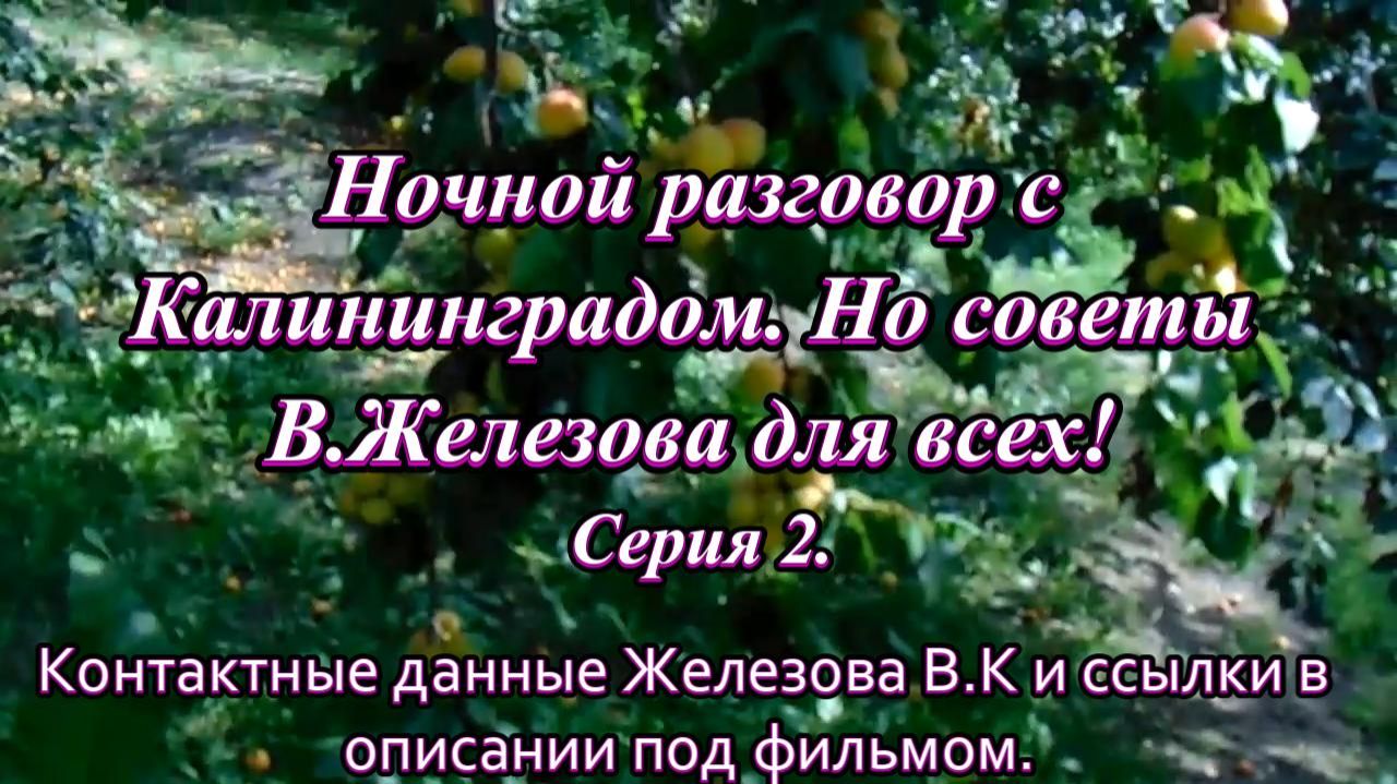 Ночной разговор с Калининградом. Но советы В.Железова для всех! Серия 2.