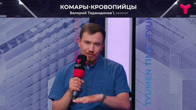 Тюменские комары