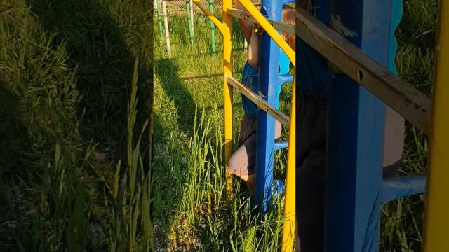 ДЕТИ НА ПЛОЩАДКЕ
