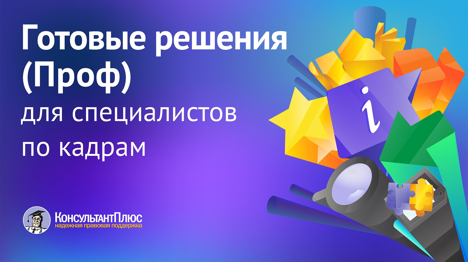 Готовые Решения (Проф) для специалистов по кадрам | Кейсы для юристов
