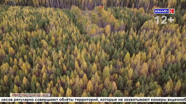 .«Катализаторы» пожаров: Владимир Бирюков - о грозах, отдыхающих и защите уральских лесов