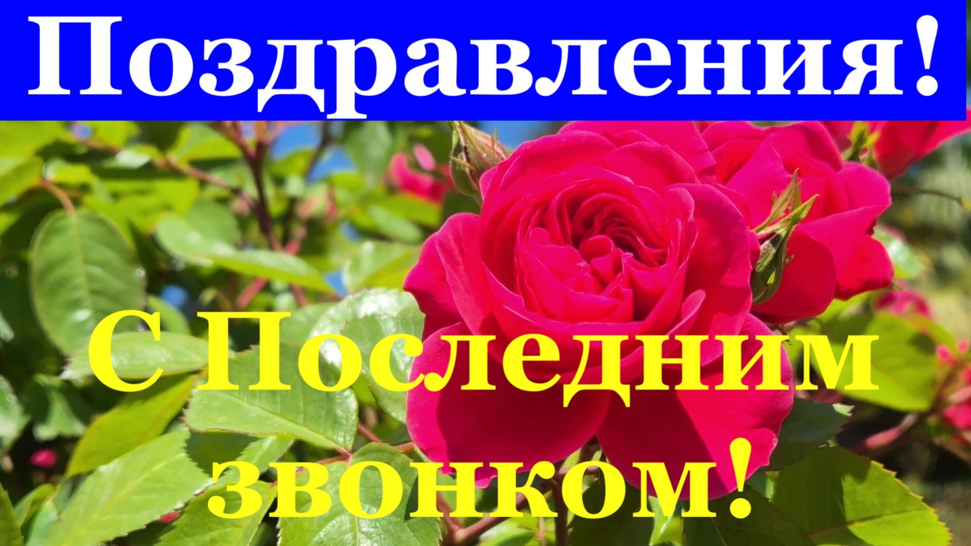Поздравления с Последним звонком от родителей Классному руководителю!