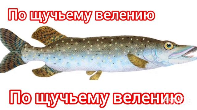 По щучьему велению | Русские народные сказки | Сказки детям 📚 #детям #сказка #аудиосказка