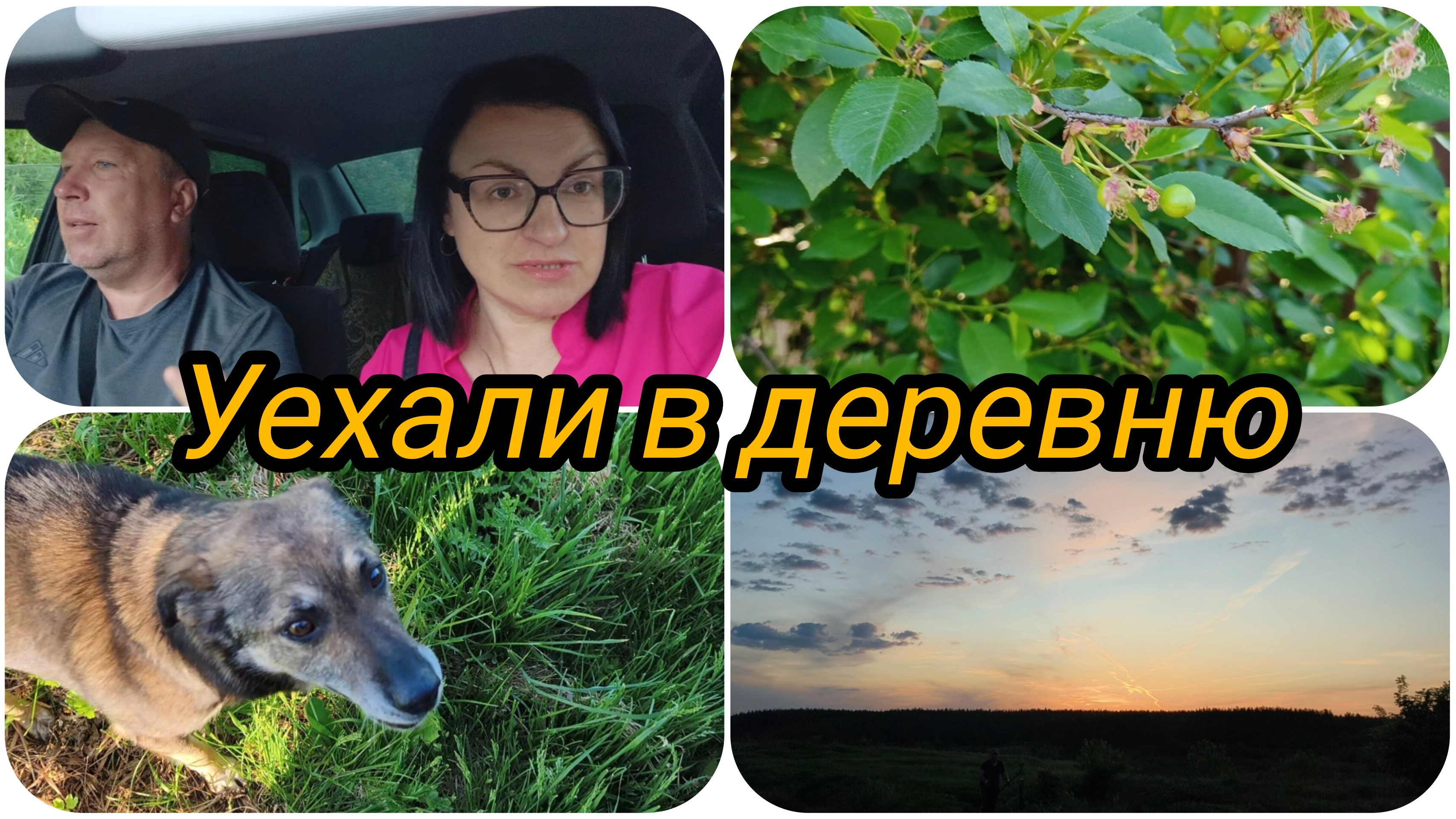 ЗАЧЕМ УЕХАЛИ В ДЕРЕВНЮ СРЕДИ НЕДЕЛИ 🤔