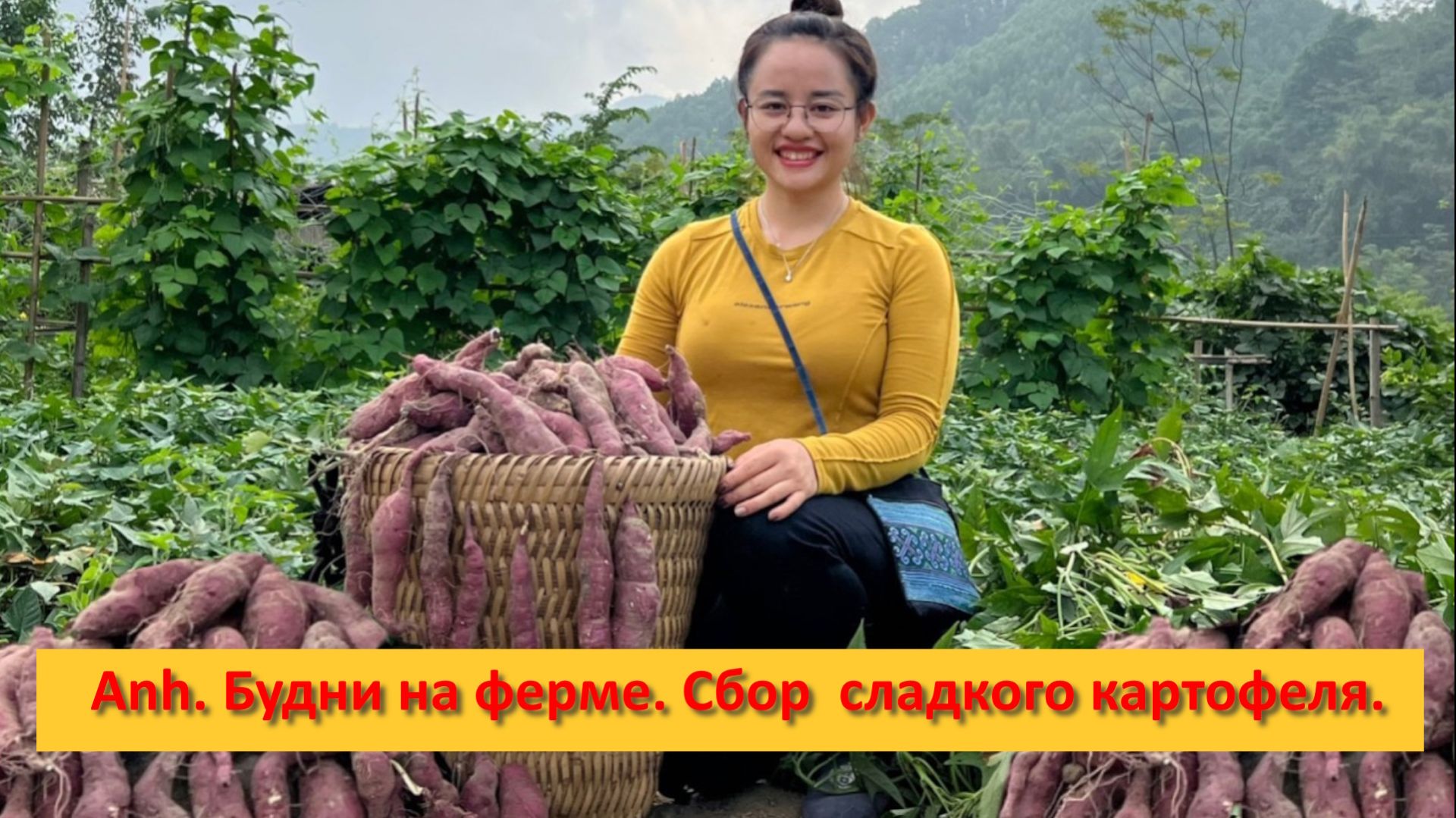 Anh Bushcraft. Будни на ферме .Сбор  сладкого картофеля и продажа.