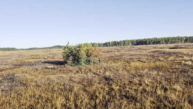 Секретная расстановка гусиных чучел для успешной охоты на гуся. #охотанагуся2026