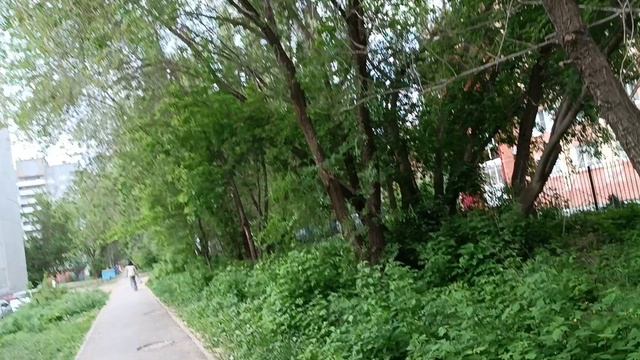 Анекдоты от автора