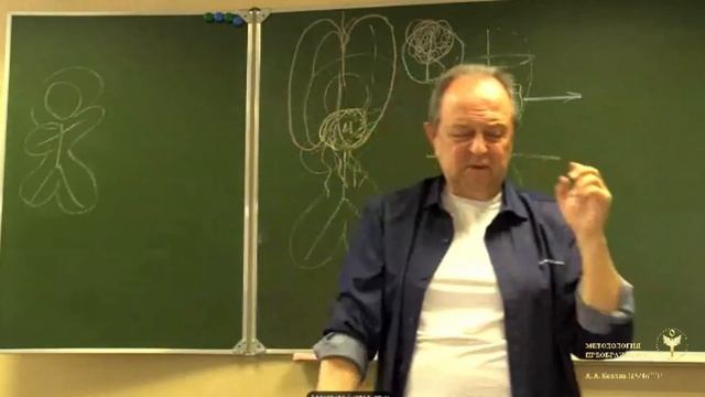 Общие подходы и диагностика органов по Методологии Преображения.