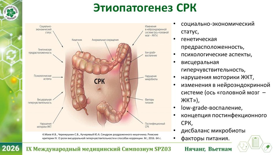 Садыкова Шолпан Сауатбековна. Синдром раздраженного кишечника. Ось "кишечник - головной мозг"