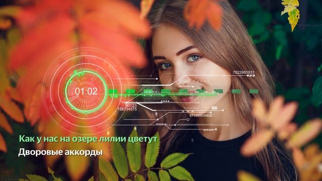 Дворовые аккорды - Как у нас на озере лилии цветут