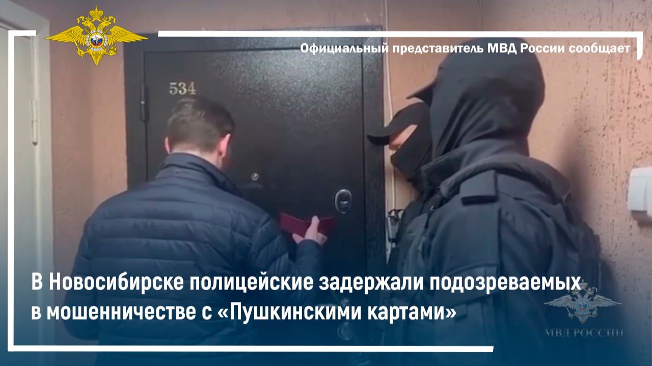 В Новосибирске полицейские задержали подозреваемых в мошенничестве с «Пушкинскими картами»