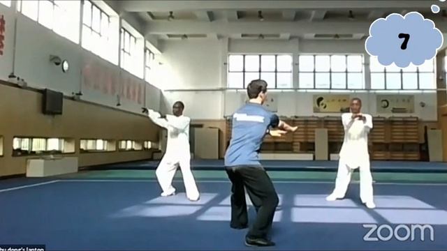 13 форм тайцзи от профессора Дун Чжу IWUF Online Wushu