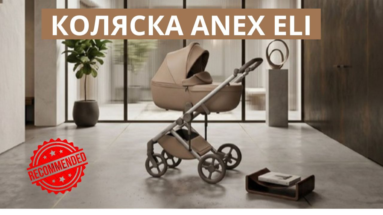 Коляска Anex Eli❤. Смотрите видеообзор первыми!