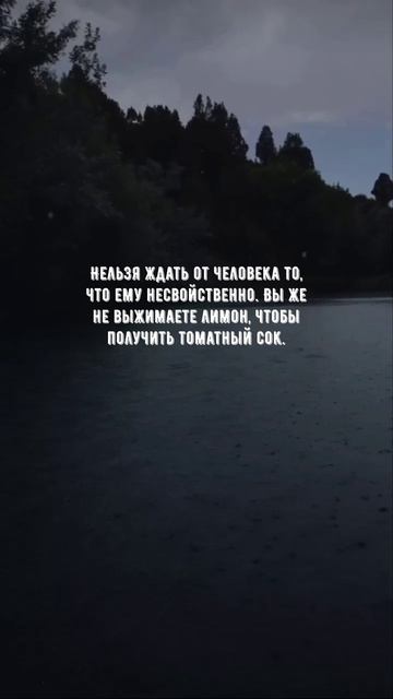 #1077 Цитата дня. Мотивация.