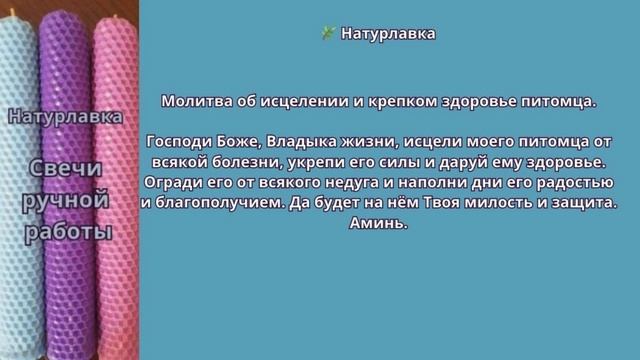Молитва об исцелении и крепком здоровье питомца.