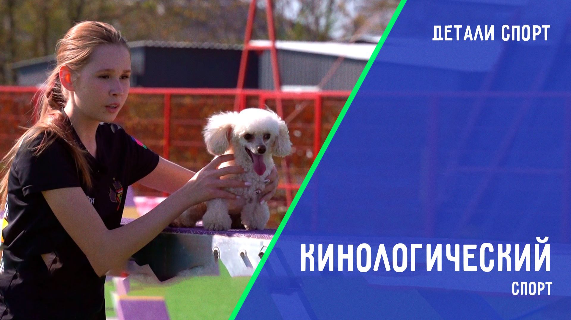 Кинологический спорт. Новое поколение сборной Краснодарского края. Детали спорт