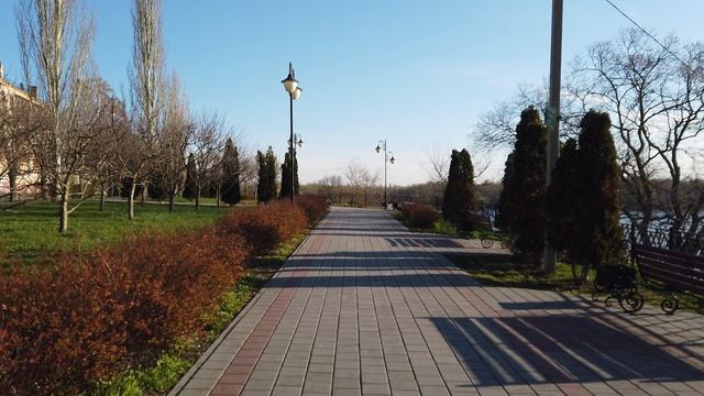 Тамбов46