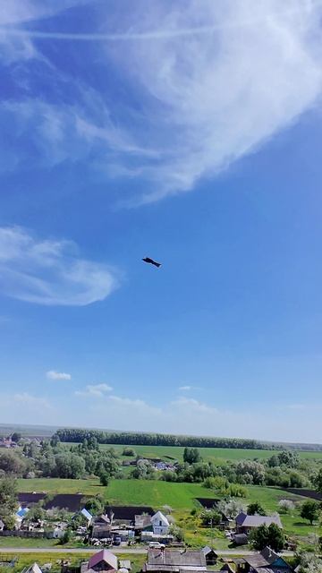 FPV. Phonk bird fly