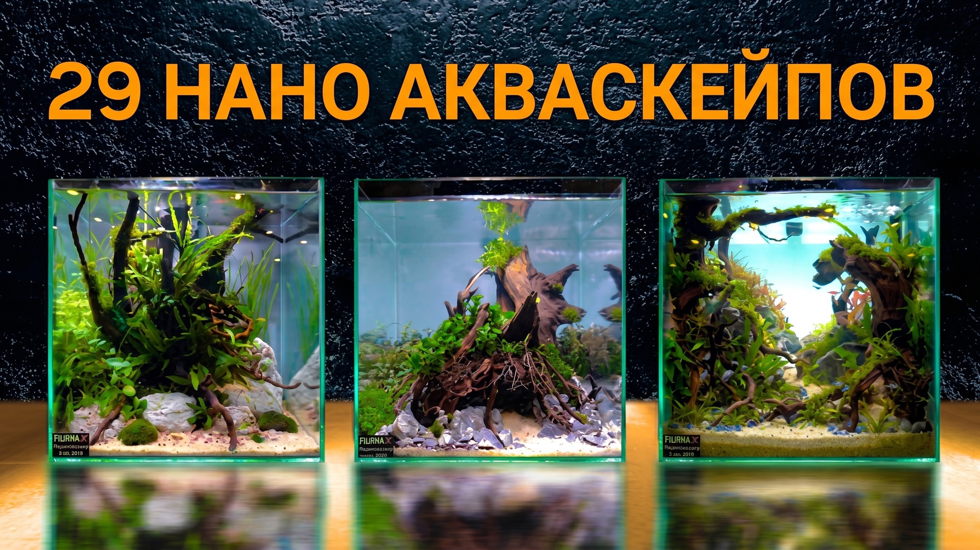 Двадцать Девять Лучших Нано-Акваскейпов Америки 2018г