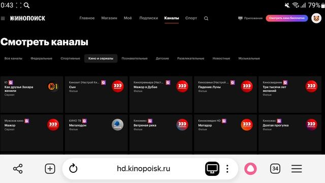 Кинопоиск/Телеканалы всех категорий