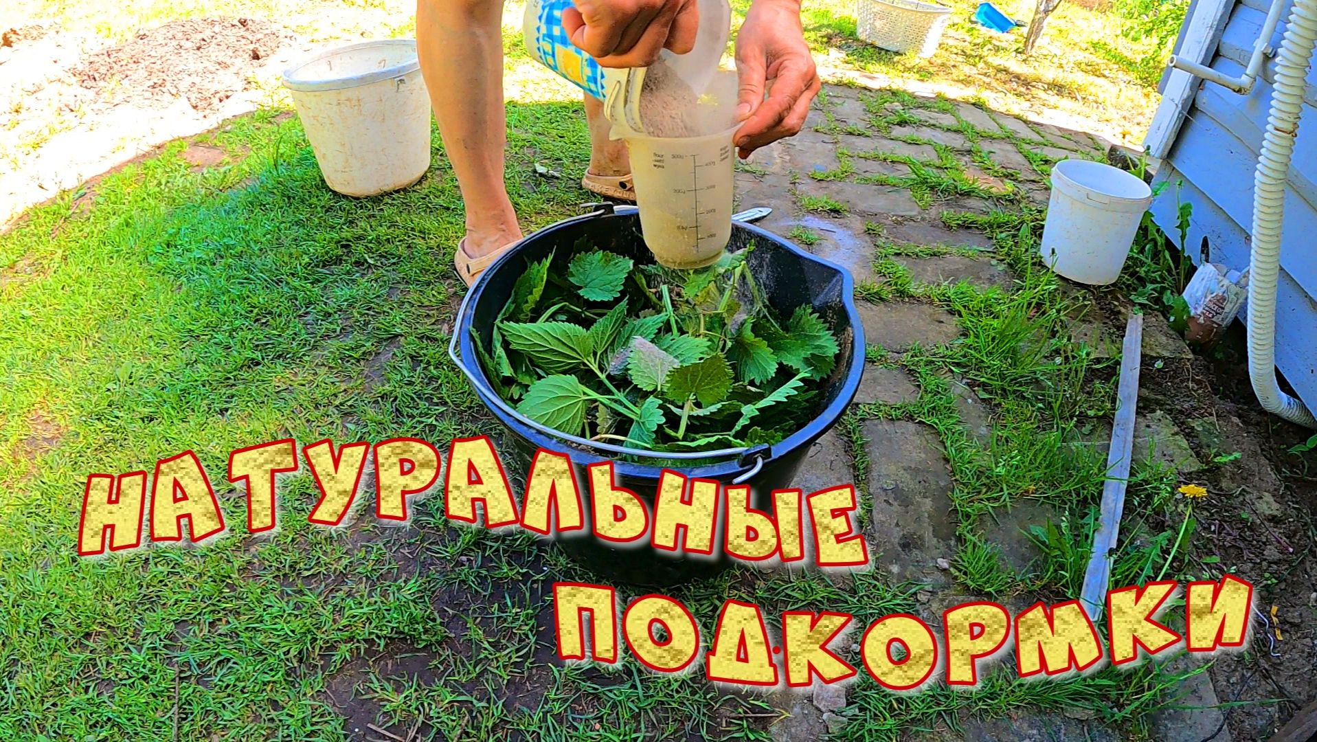 НАТУРАЛЬНЫЕ ПОДКОРМКИ