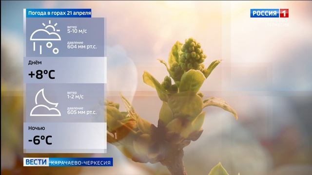 Вести Карачаево-Черкесия 20.04.2026