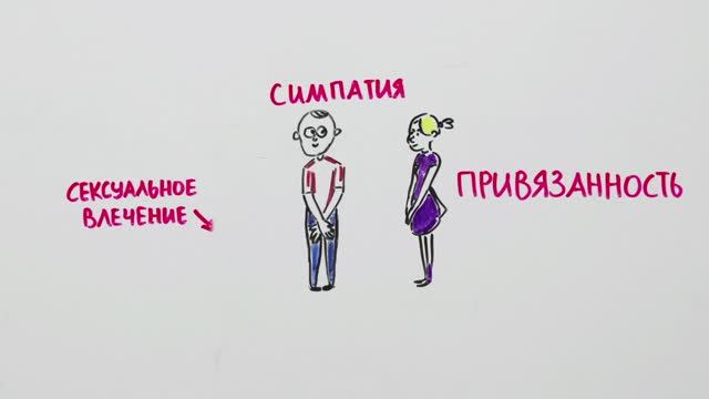Как мы влюбляемся?