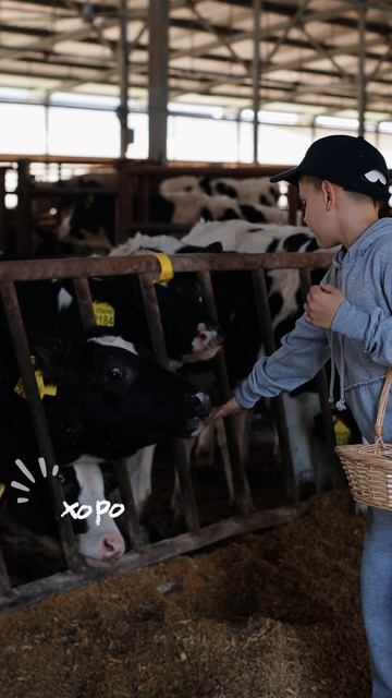 Заряд милоты на выходные! 🐮💕