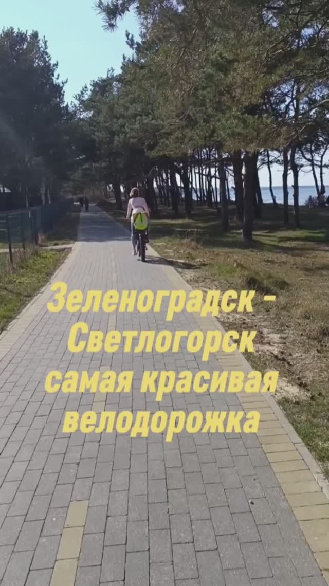 Зеленоградск - Светлогорск. Самая красивая велодорожка