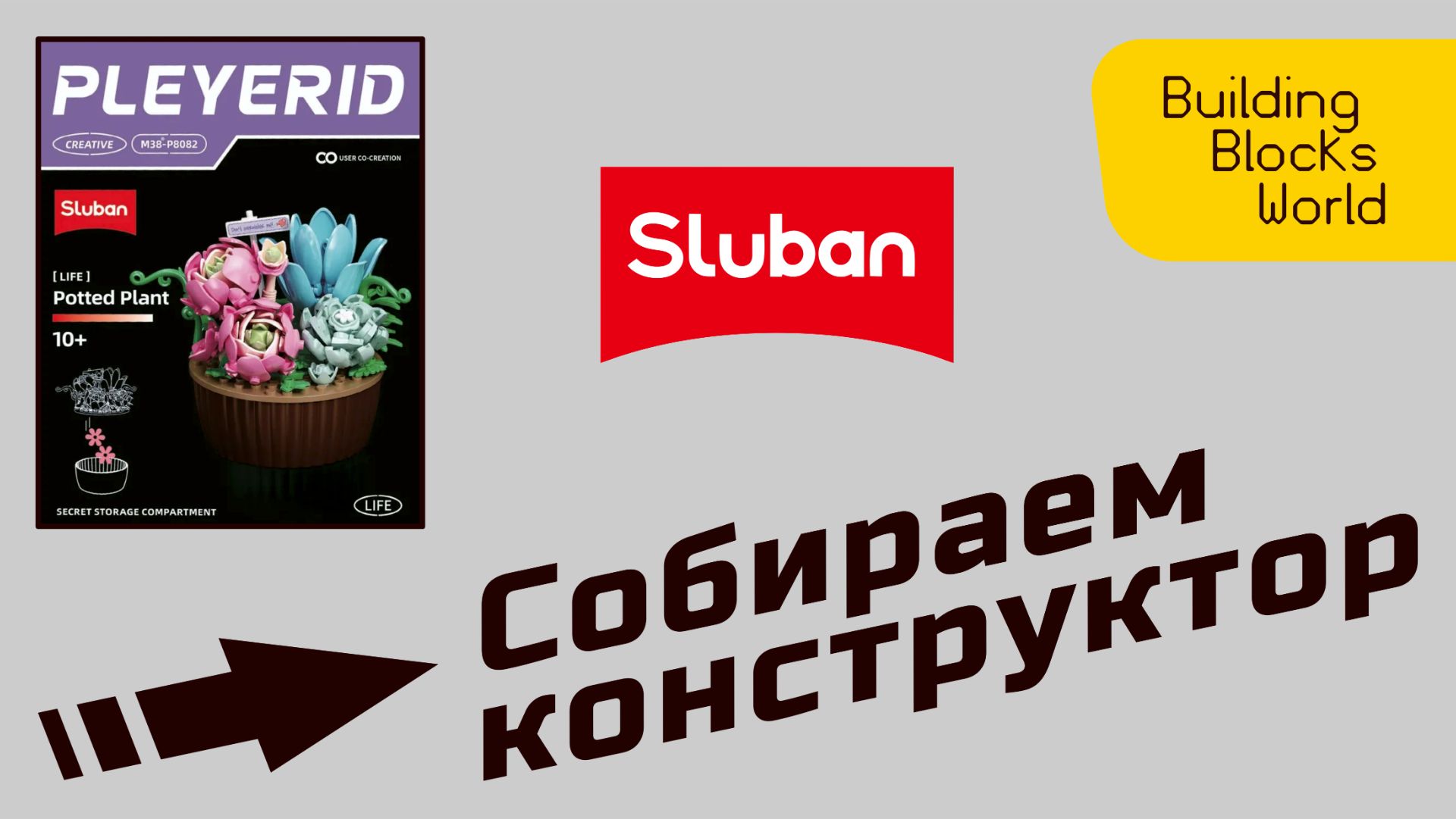 Сборка конструктора "Sluban" серия "PLEYERID" (M38-P8082) Potted plant (Суккулены)