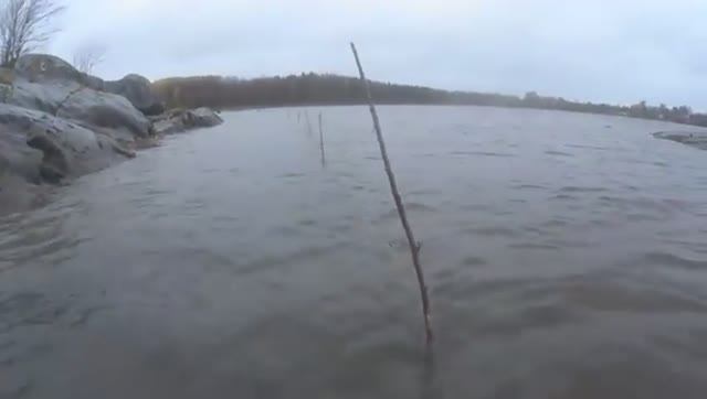 ИДУЩИЙ ПО ВОДЕ! ЭТА РЫБА ЧУТЬ МЕНЯ САМОГО НЕ УТАЩИЛА В МОРЕ! КОЛЫ СПАСЛИ!