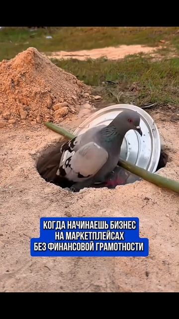 КОГДА ЗАШЁЛ НА МАРКЕТПЛЕЙСЫ БЕЗ ФИНАНСОВОЙ ГРАМОТНОСТИ