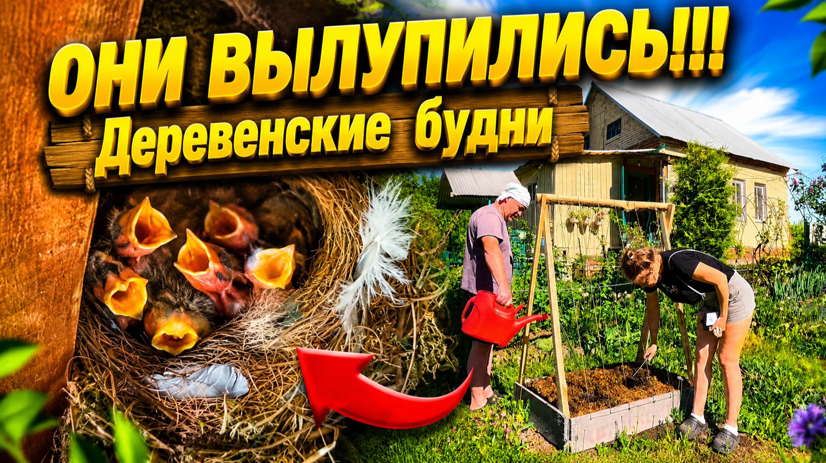 УРААА ОНИ ВЫЛУПИЛИСЬ | Деревенские будни | Семья в селе