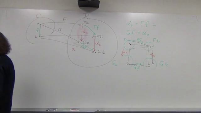Cat_9.1